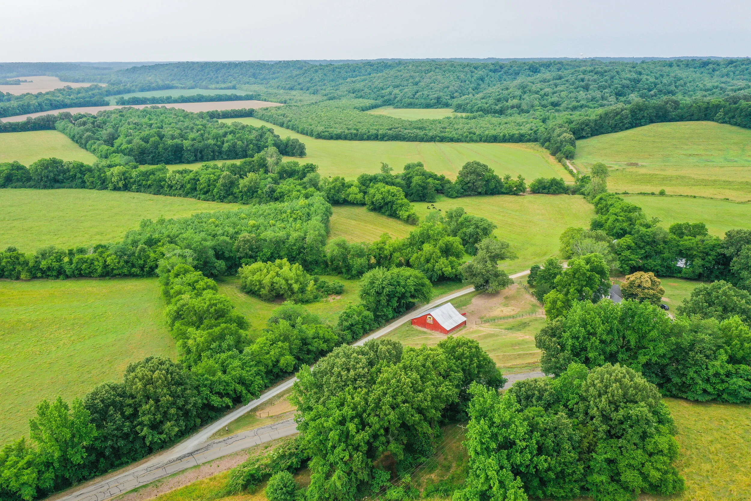 About Us — Maples Stock Farm | Alabama Registered Angus Cattle