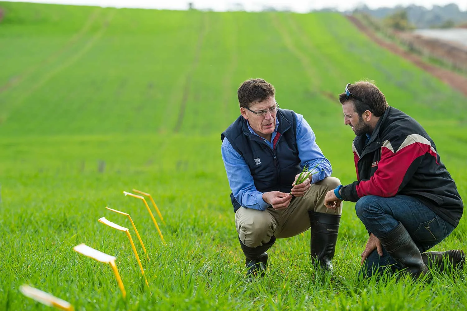 Wesfarmers Chemicals, Energy & Fertilisers | WesCEF