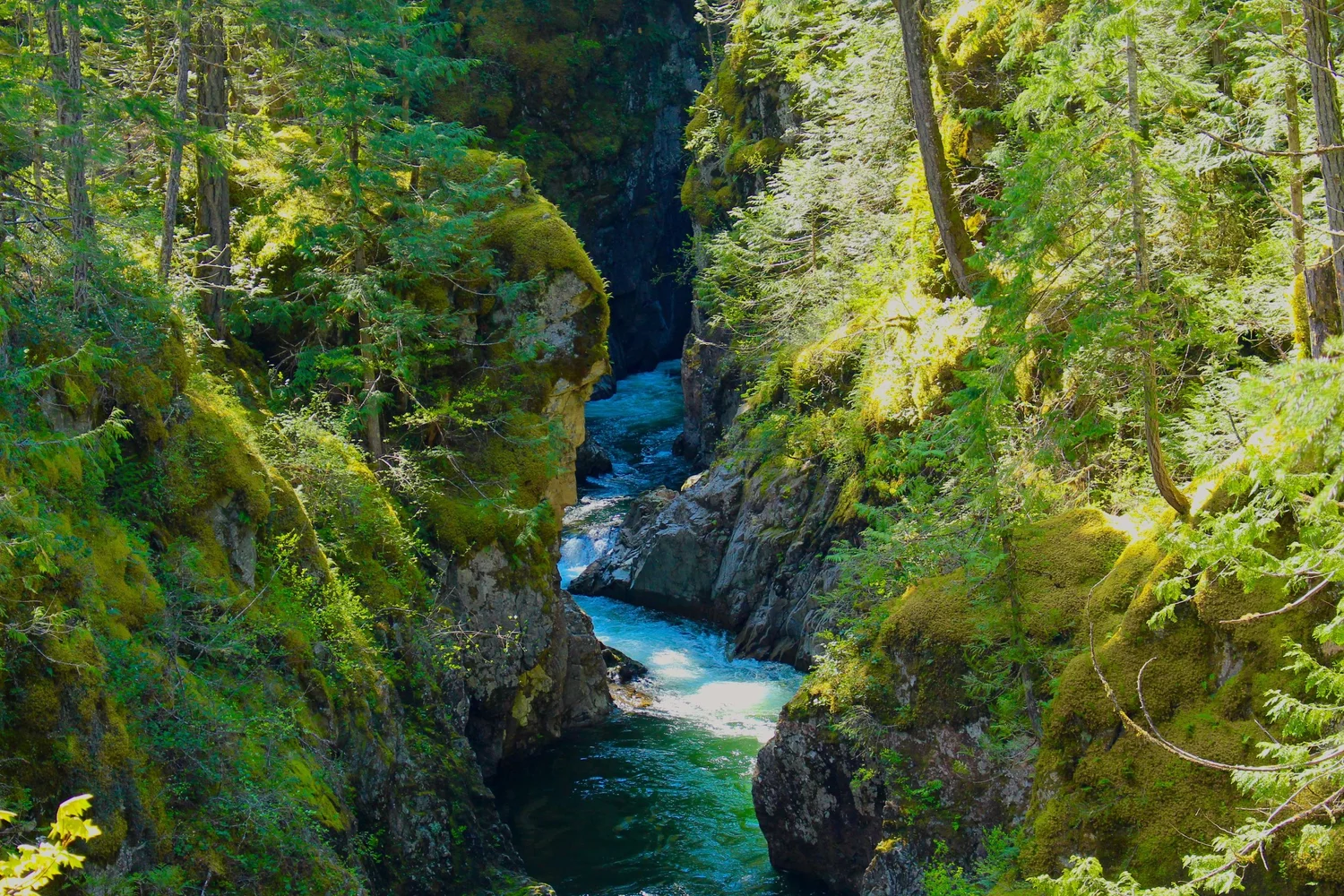 Amazing Places — Mount Arrowsmith Biosphere Region