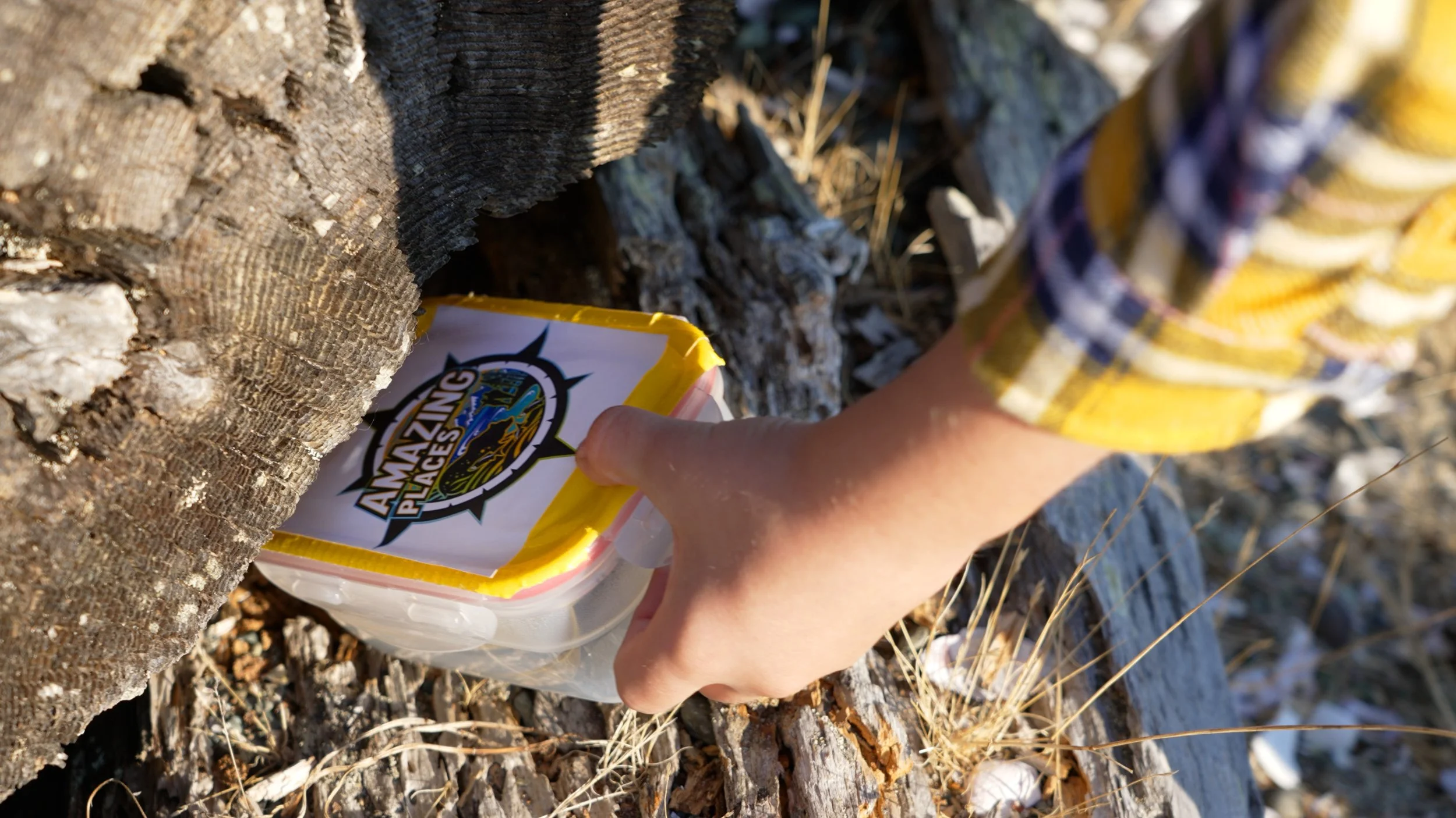 Geocaching — Mount Arrowsmith Biosphere Region