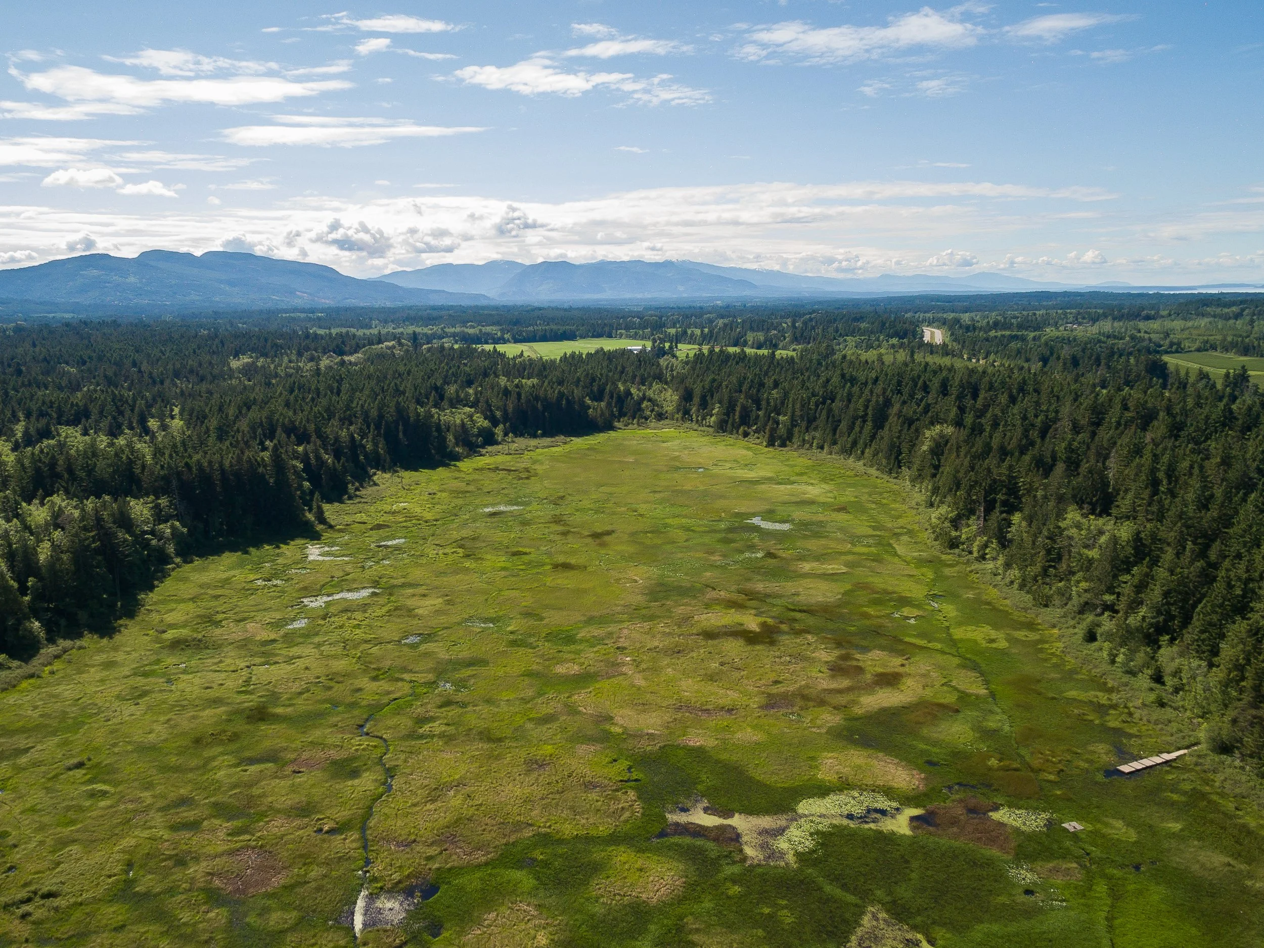 Hamilton Marsh — Mount Arrowsmith Biosphere Region