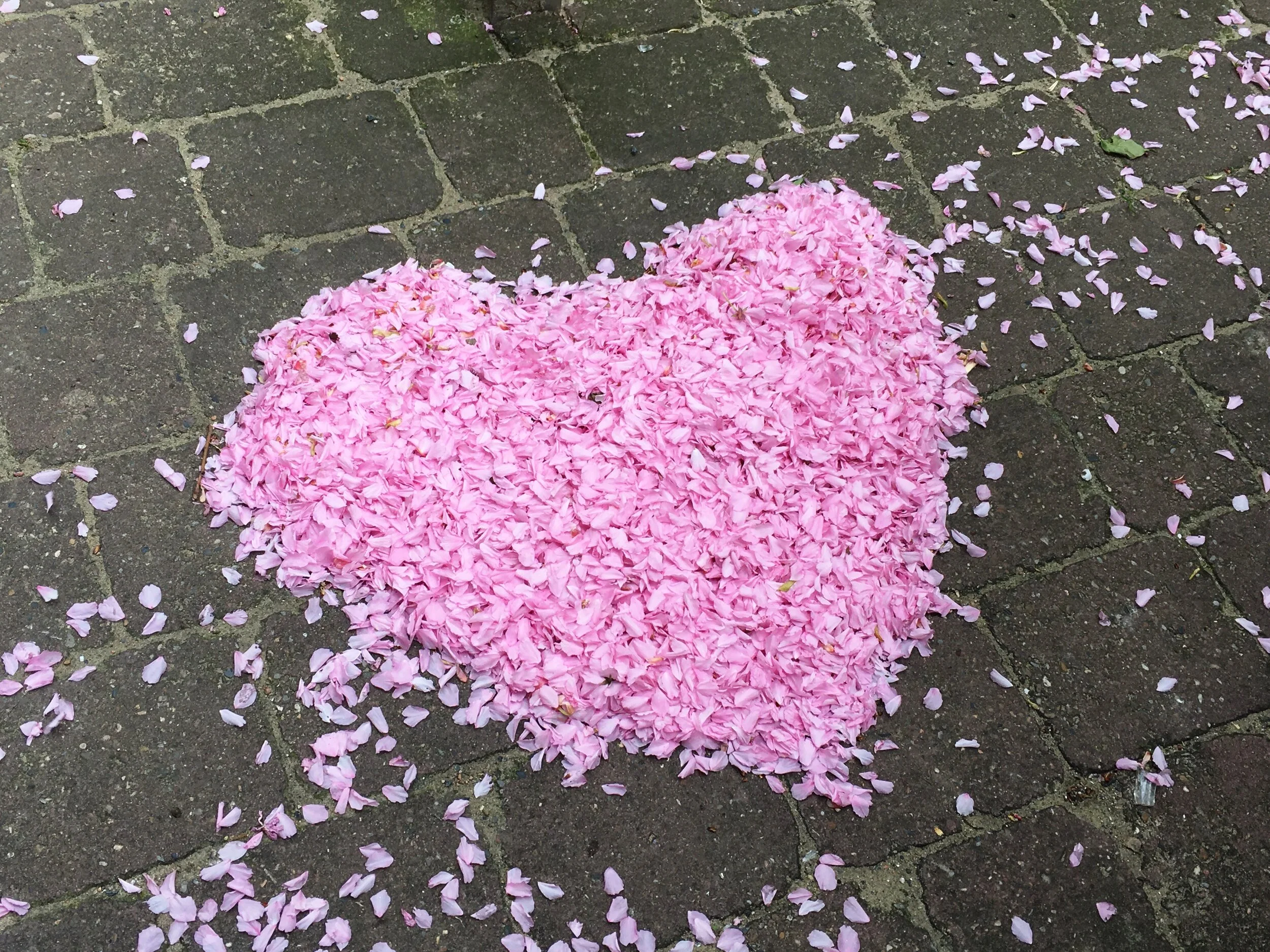 Couple's Reiki Massage Course — Psychedelic Reiki Massage