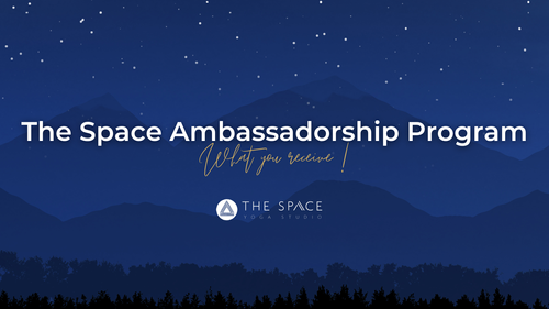Space Ambassadorship — The Space