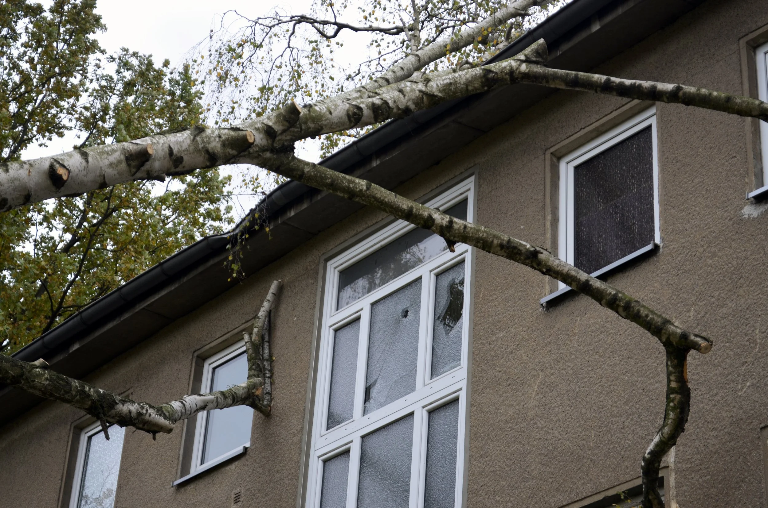 Window Storm Damage: Signs, Repair, & Prevention Tips