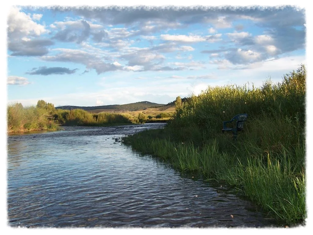 The River — Fraser River Ranch Fishing Club