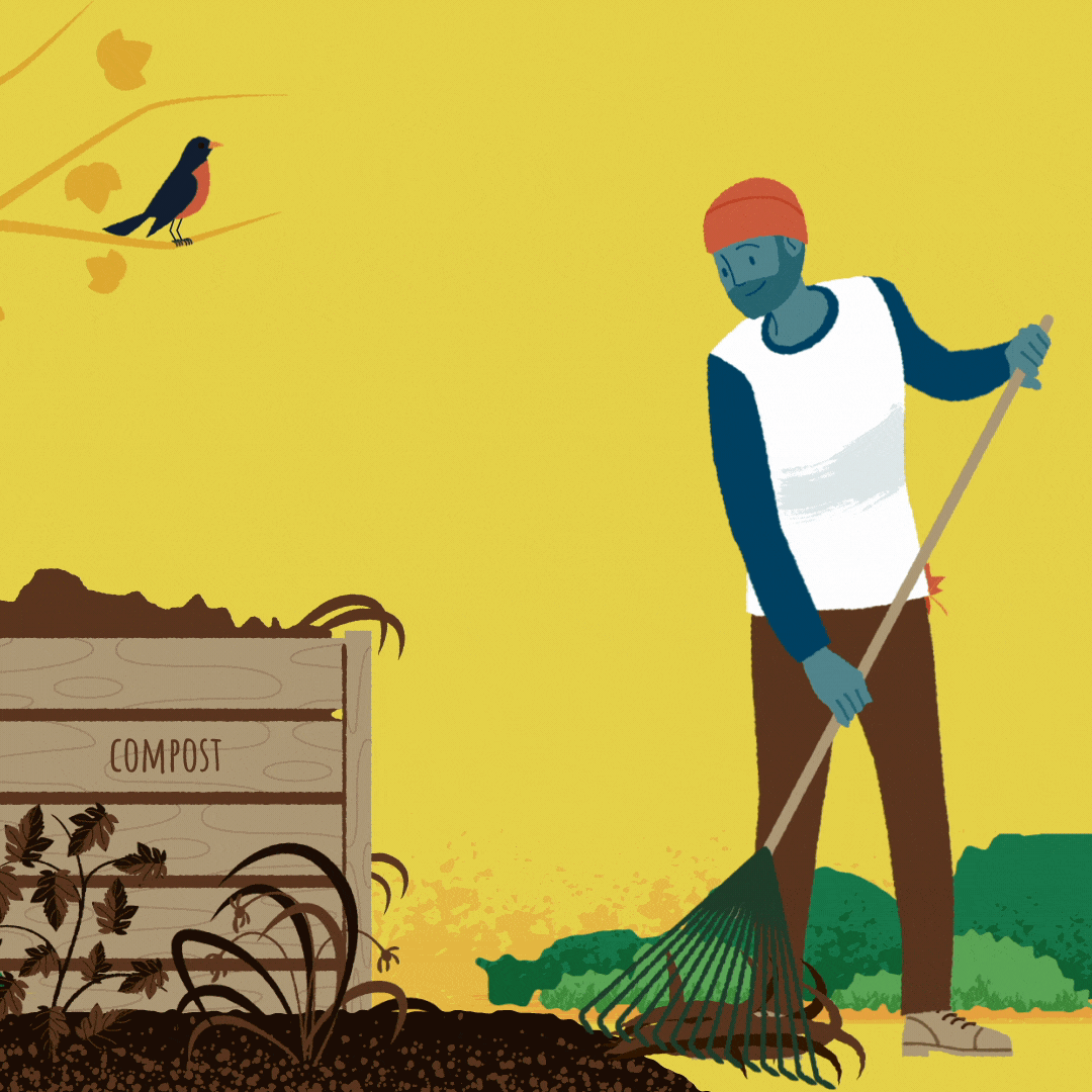 Miraculous Gardening — Joey Judkins