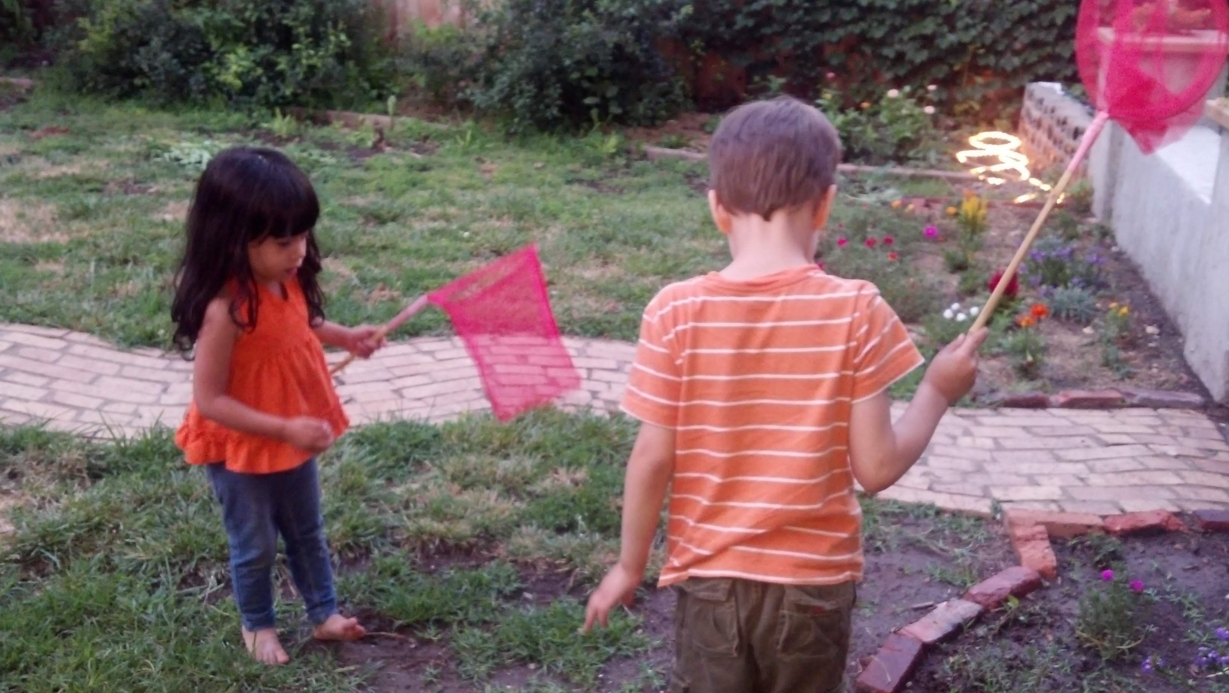 Backyard Bug Hunt: Ideas, Tips, and Tools — The Backyard Kid