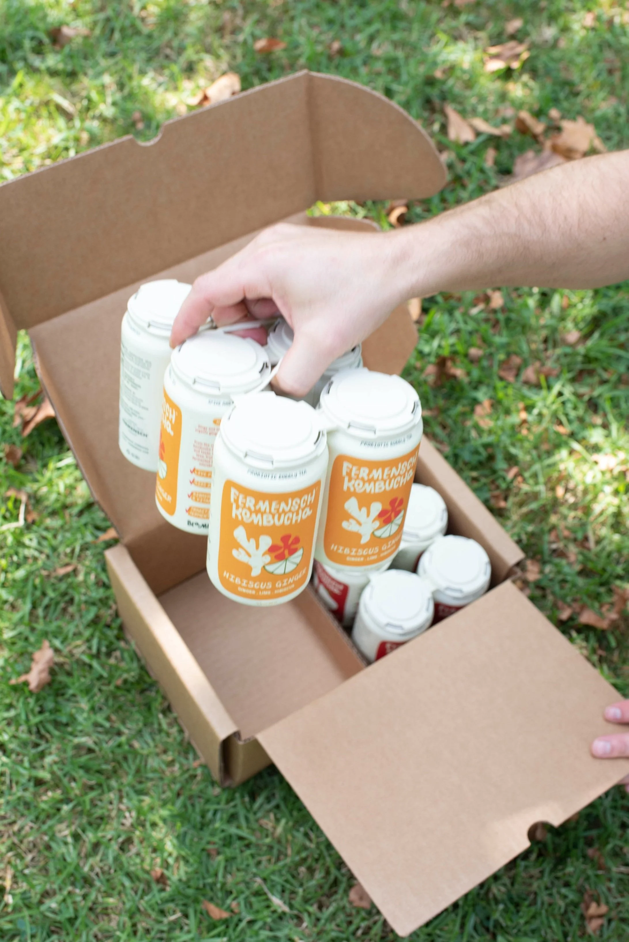 Flavors — Fermensch Kombucha