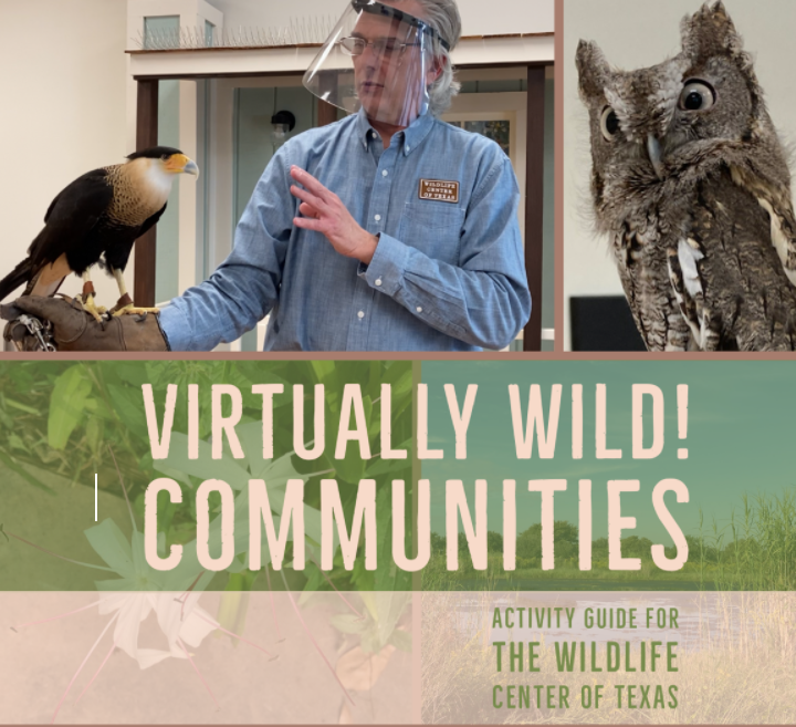 Virtual Field Trips — HERE in Houston