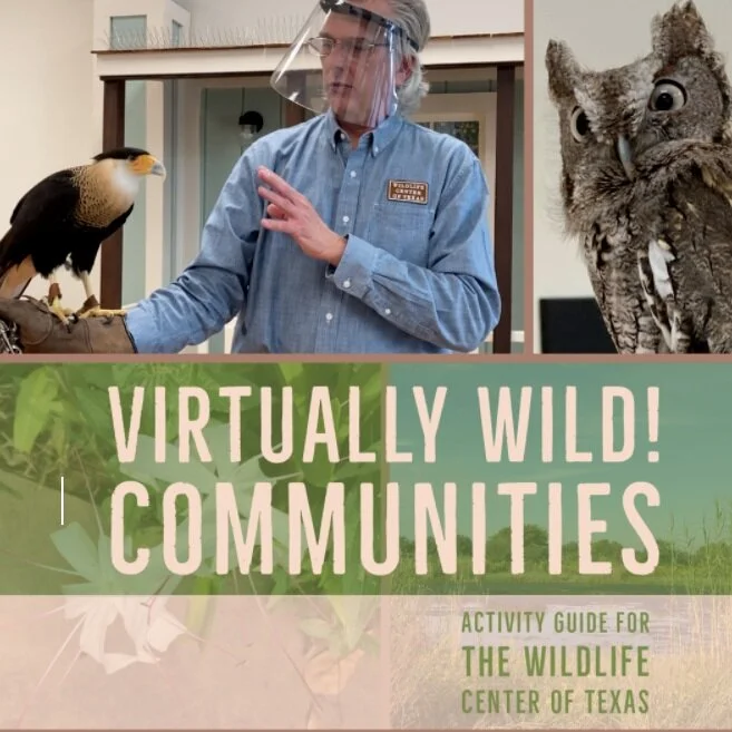 Local Wildlife — HERE in Houston