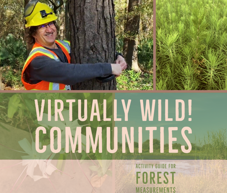 Virtual Field Trips — HERE in Houston