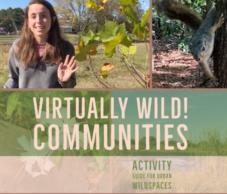 Virtual Field Trips — HERE in Houston