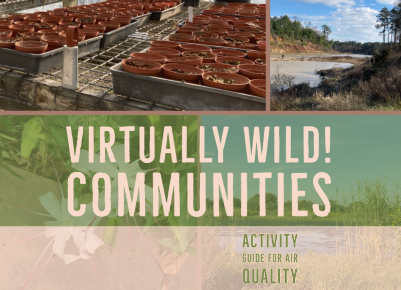 Virtual Field Trips — HERE in Houston