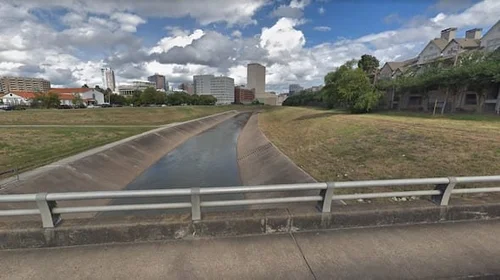 Local Wildlife — HERE in Houston