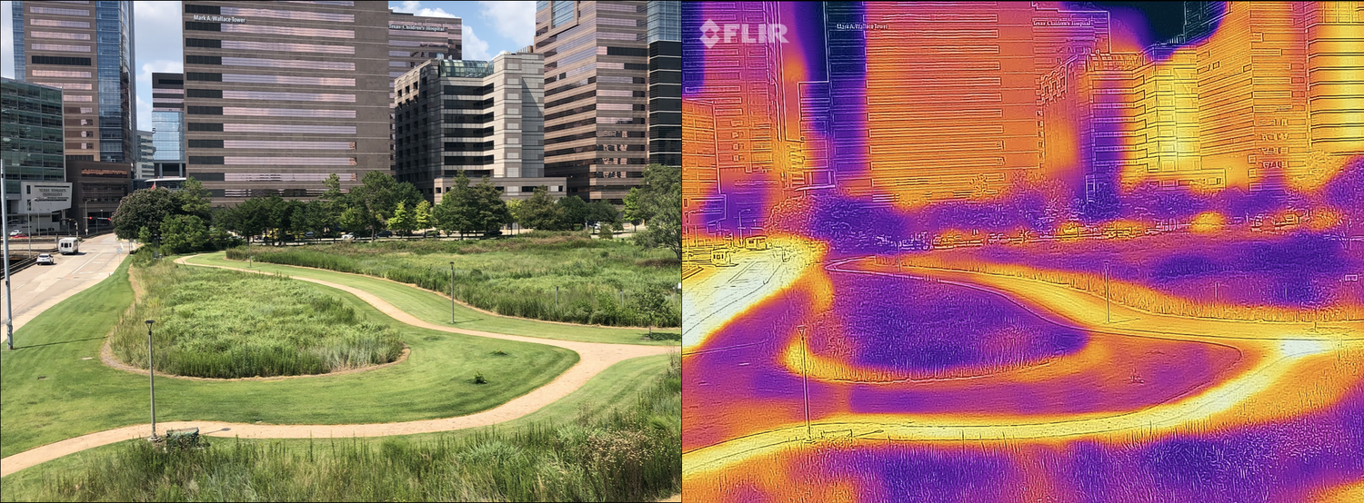 Build a Pocket Prairie — HERE in Houston