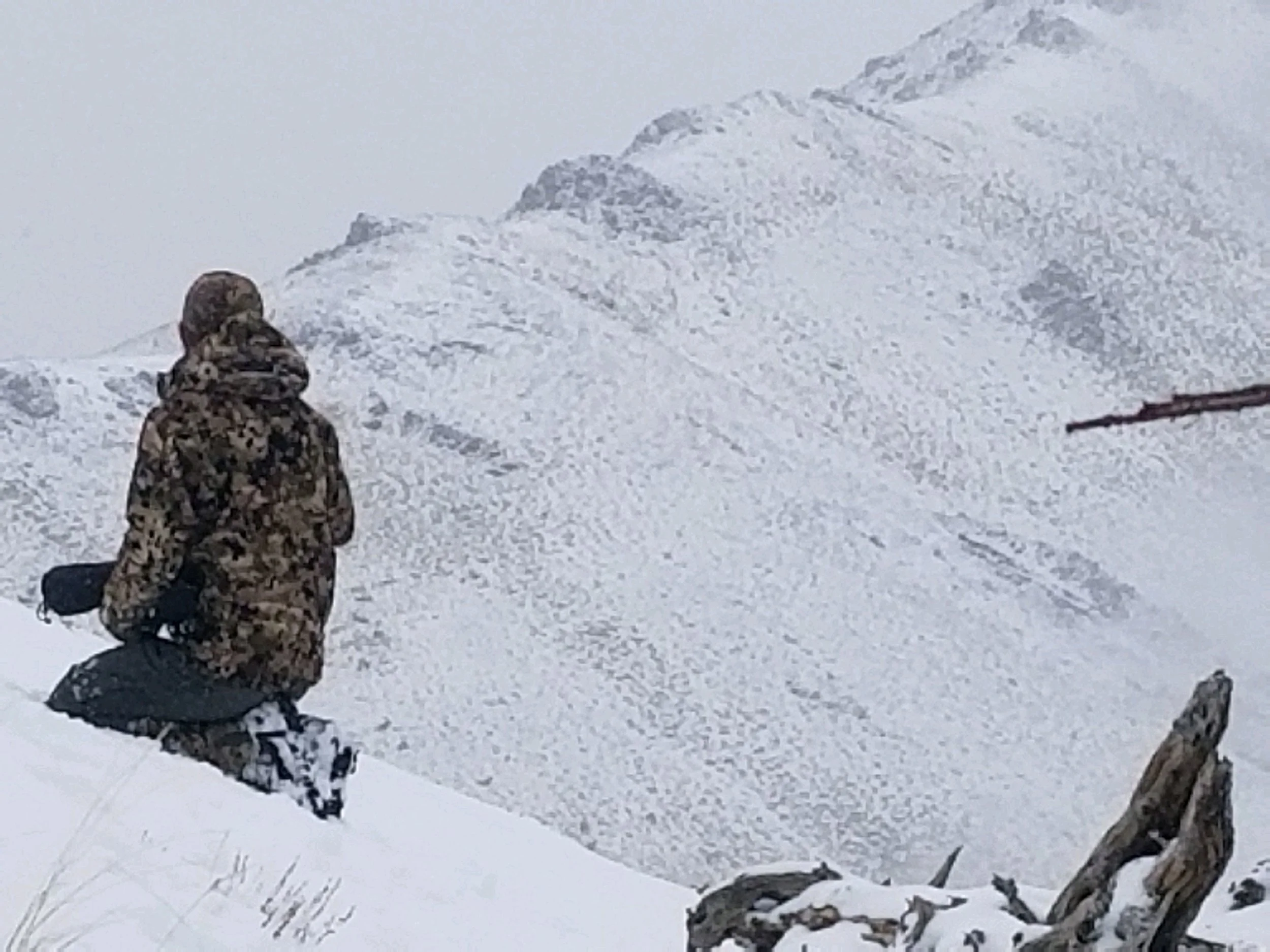 Bio — Braxton McCoy