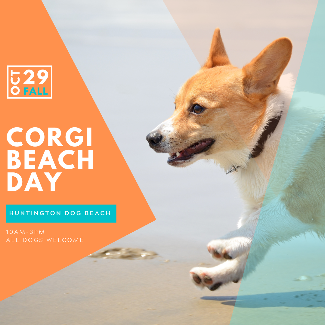 ALL UPCOMING CORGI NATION EVENTS — So Cal Corgi Nation