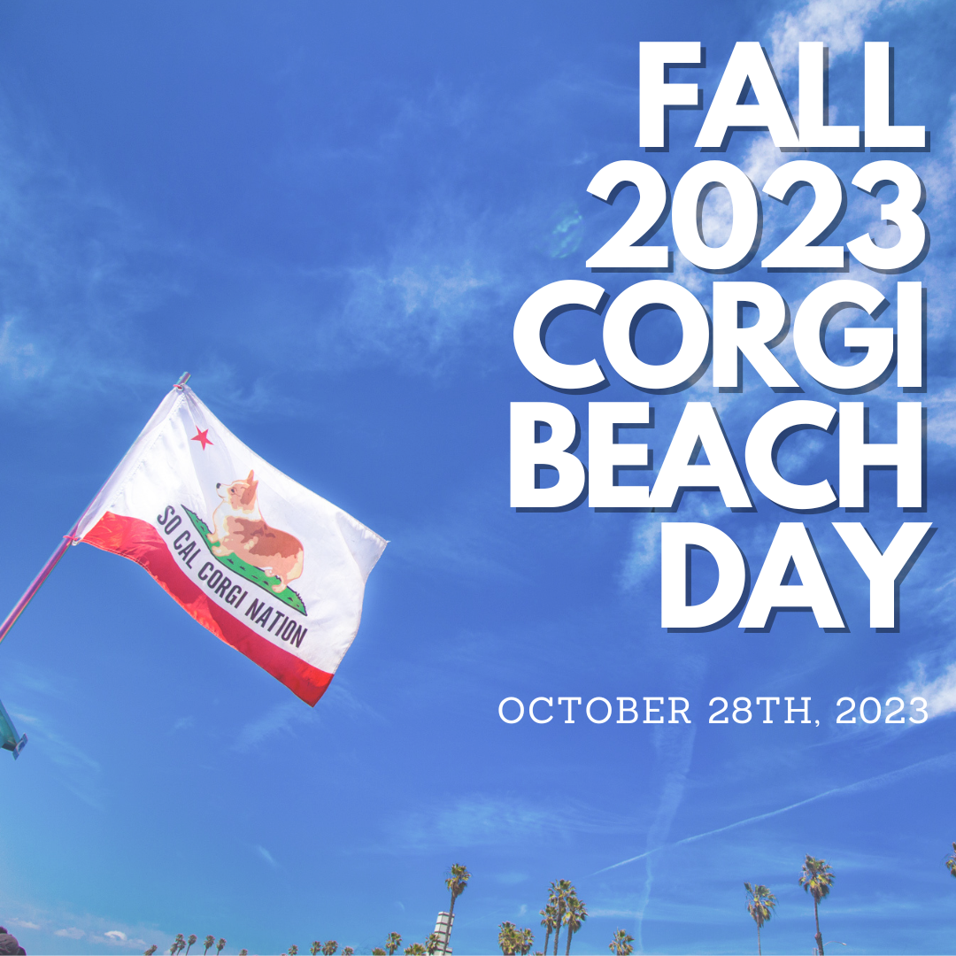 2023 Fall Corgi Beach Day — So Cal Corgi Nation