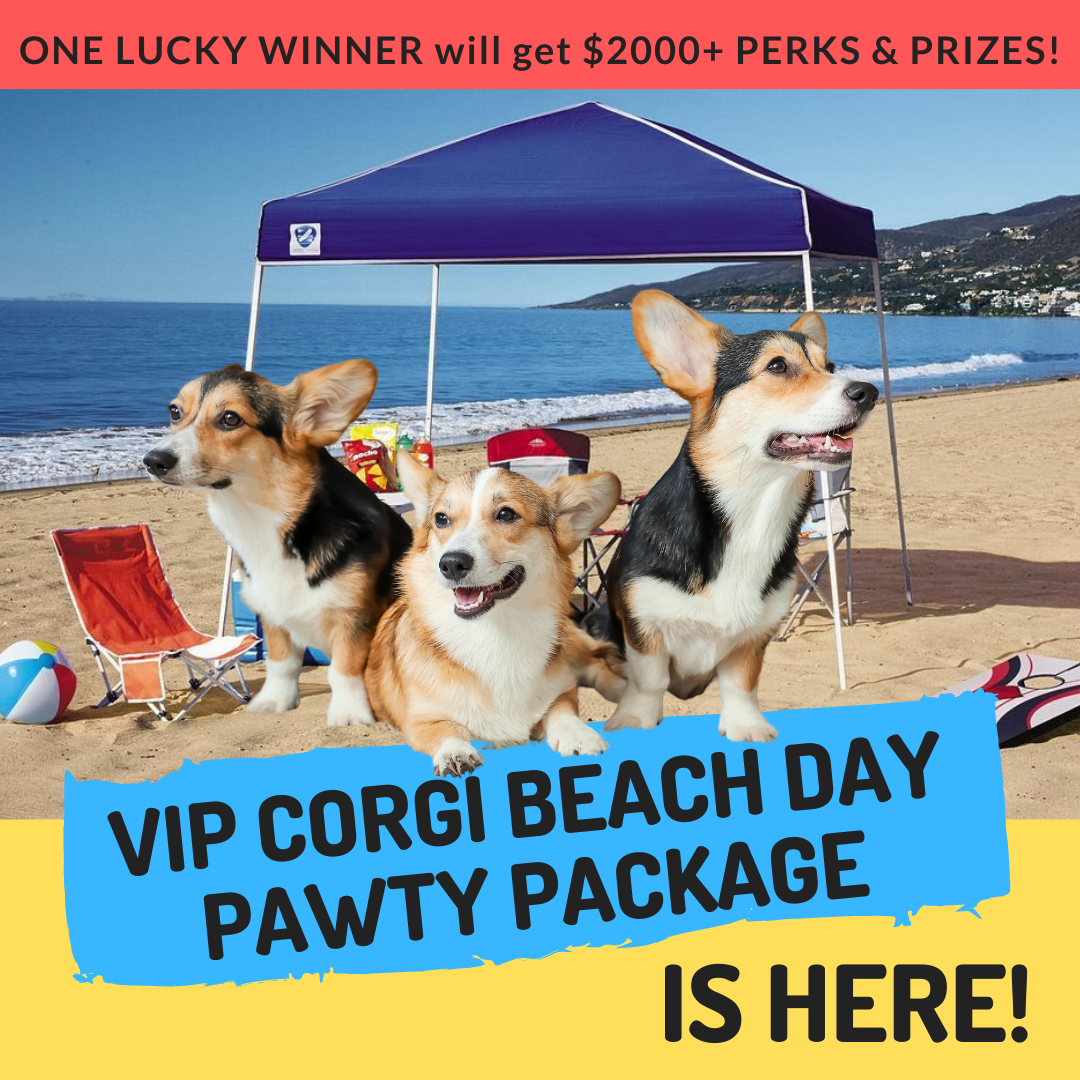 So Cal Corgi Nation