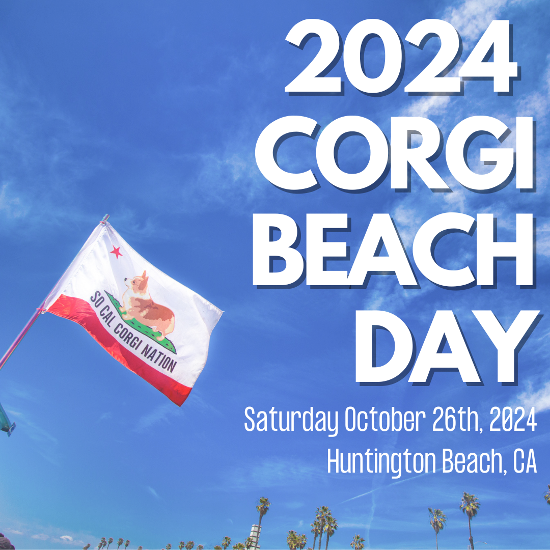 2024 FALL CORGI BEACH DAY — So Cal Corgi Nation