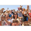 ABOUT CORGI BEACH DAY & CORGI NATIONALS — So Cal Corgi Nation