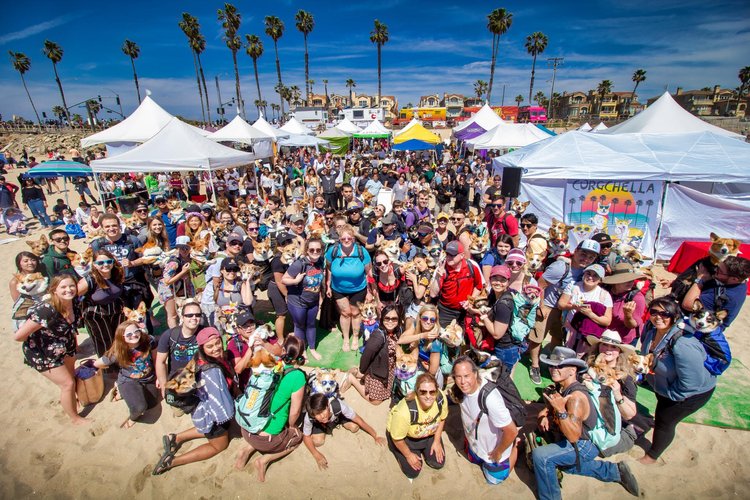 ABOUT CORGI BEACH DAY & CORGI NATIONALS — So Cal Corgi Nation