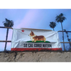 ABOUT CORGI BEACH DAY & CORGI NATIONALS — So Cal Corgi Nation