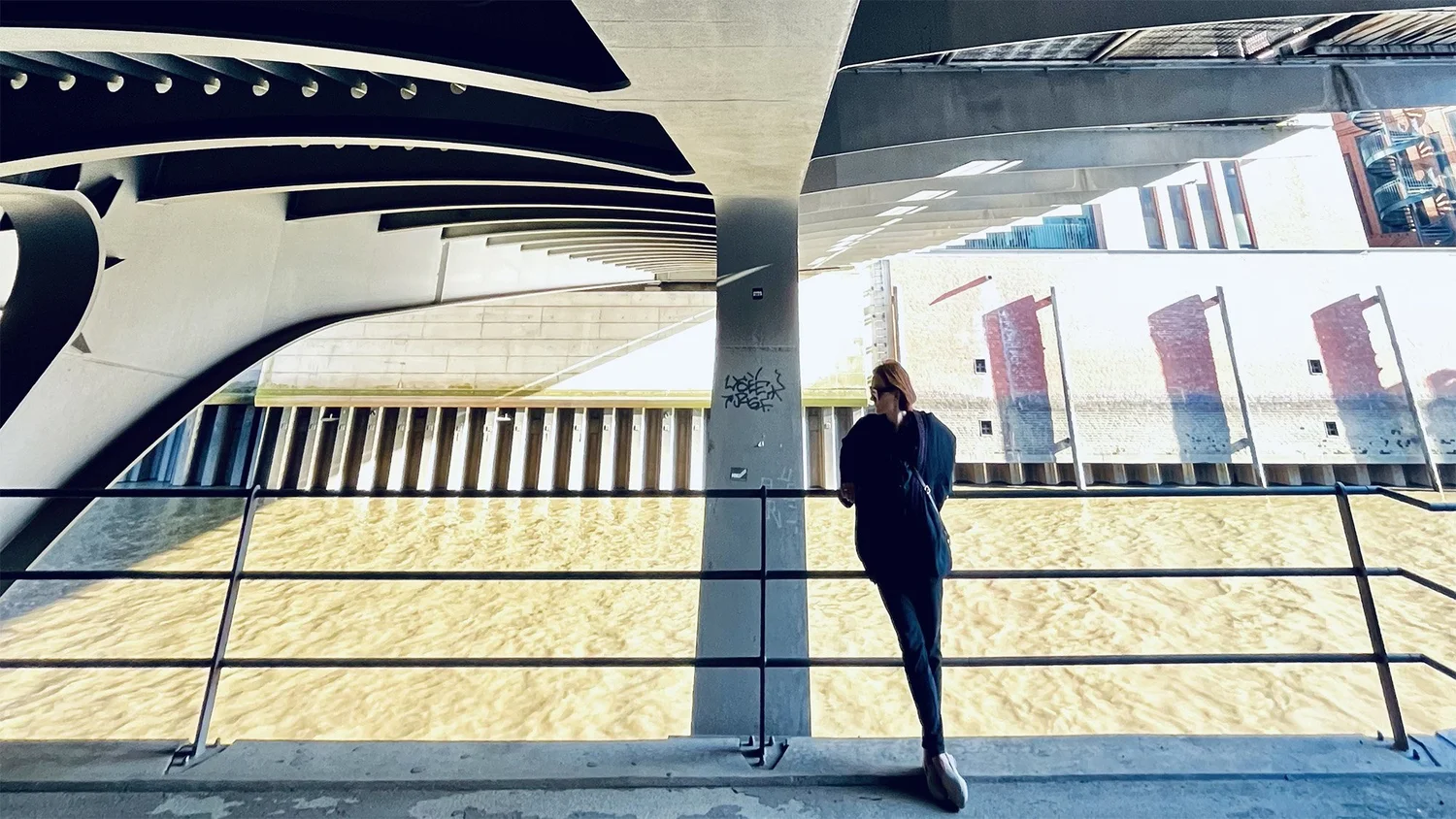 ABOUT — Helen Shulkin