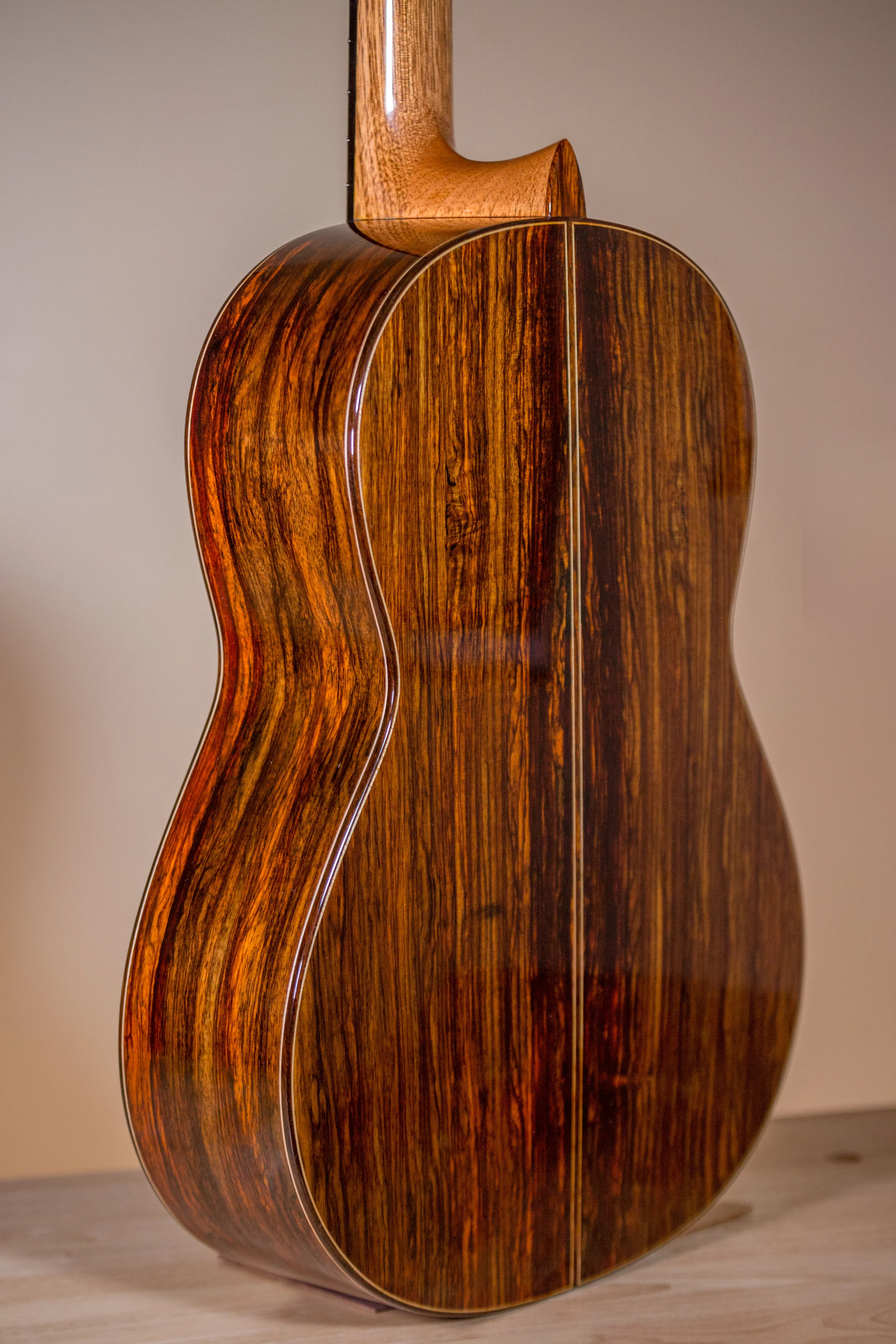 Two cedar guitars. Both have cedar tops from a 500 year old cedar tree ...