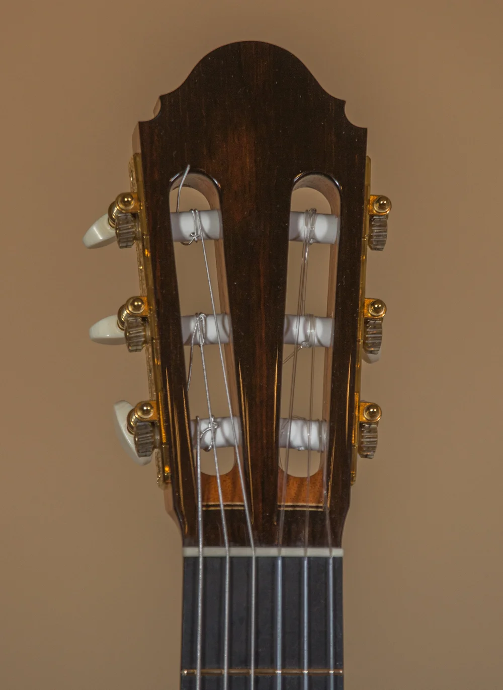 Spruce/Brazilian balsa core Double-Top for Matt Palmer — Michael Thames ...