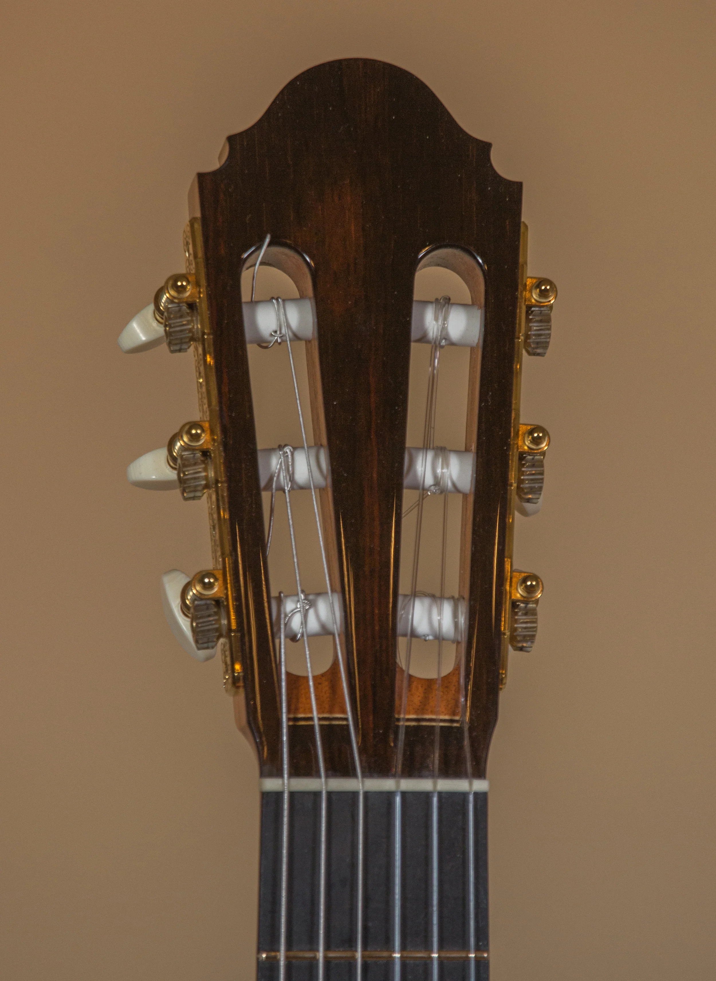 Spruce/Brazilian balsa core Double-Top for Matt Palmer — Michael Thames ...