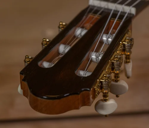 Spruce/Brazilian balsa core Double-Top for Matt Palmer — Michael Thames ...