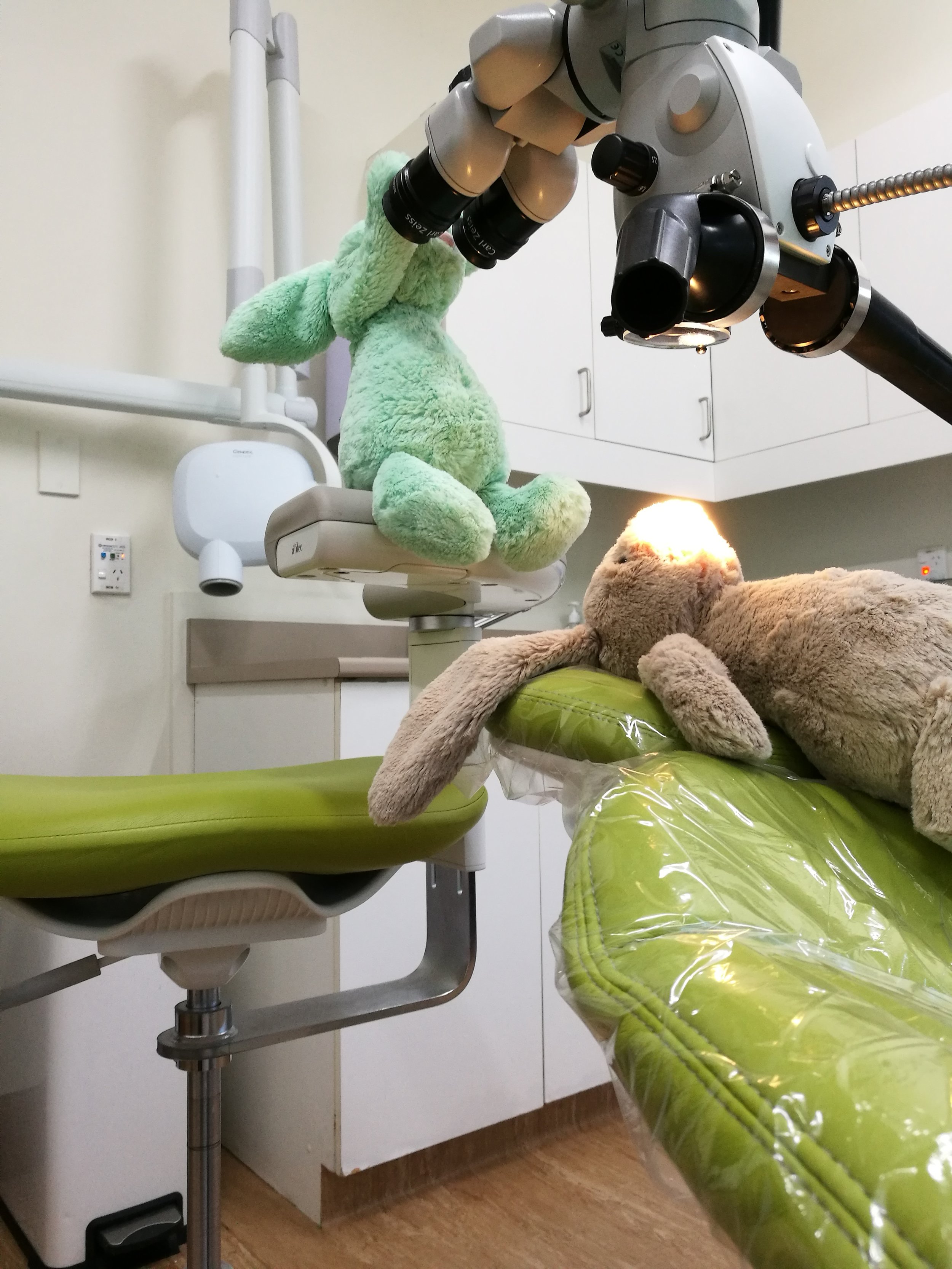 Toothache Advice — Colombo Street Dental