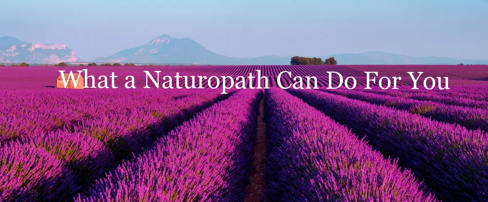 What a Naturopath Can Do For You