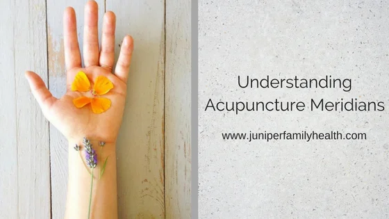 Understanding Acupuncture Meridians