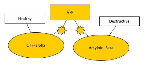 Reverse Alzheimer's With The Bredesen Protocol - ReCODE — MyBioHack ...