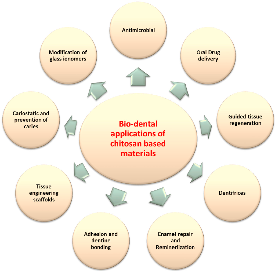 The 13+ Benefits Of Chitosan And Chitooligosaccharides — MyBioHack ...