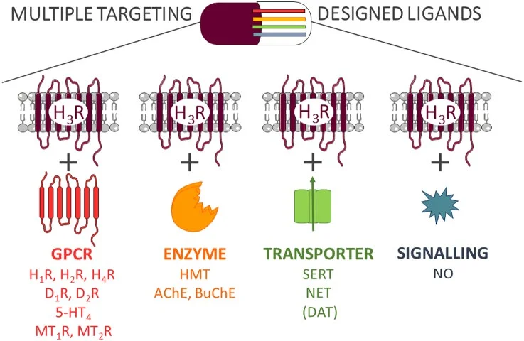 All About Histamine H3 Receptors (HRH3/HR3): Genetics, Mechanisms, And ...