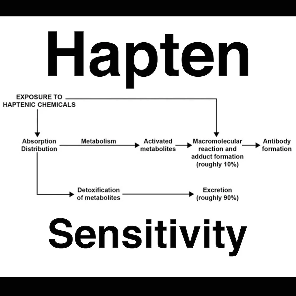 Haptens: A Root Cause Of Food Intolerance, Chemical Sensitivity, Skin ...