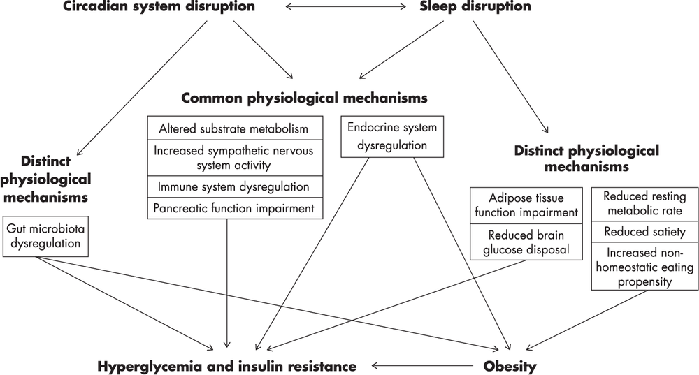 32+ Zeitgebers (Biological Cues) And How To Enhance Your Circadian ...
