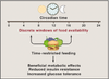 32+ Zeitgebers (Biological Cues) And How To Enhance Your Circadian ...
