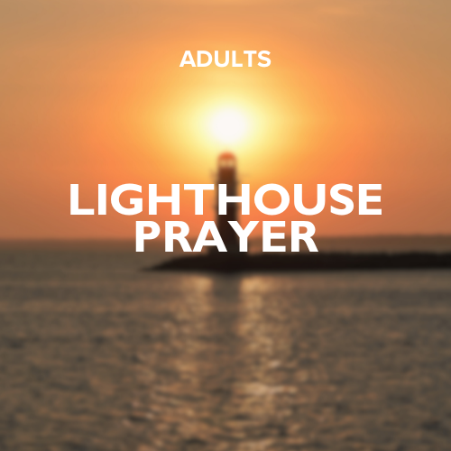 Connect Groups — Trinity