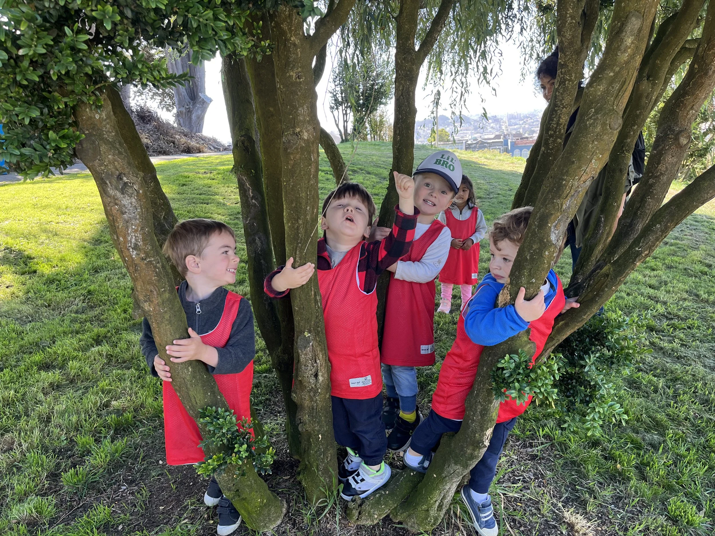 Year 1: Yellow Ducks — Alta Plaza Preschool