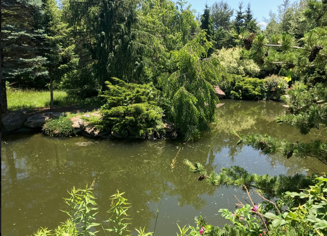 wind & warrior founders