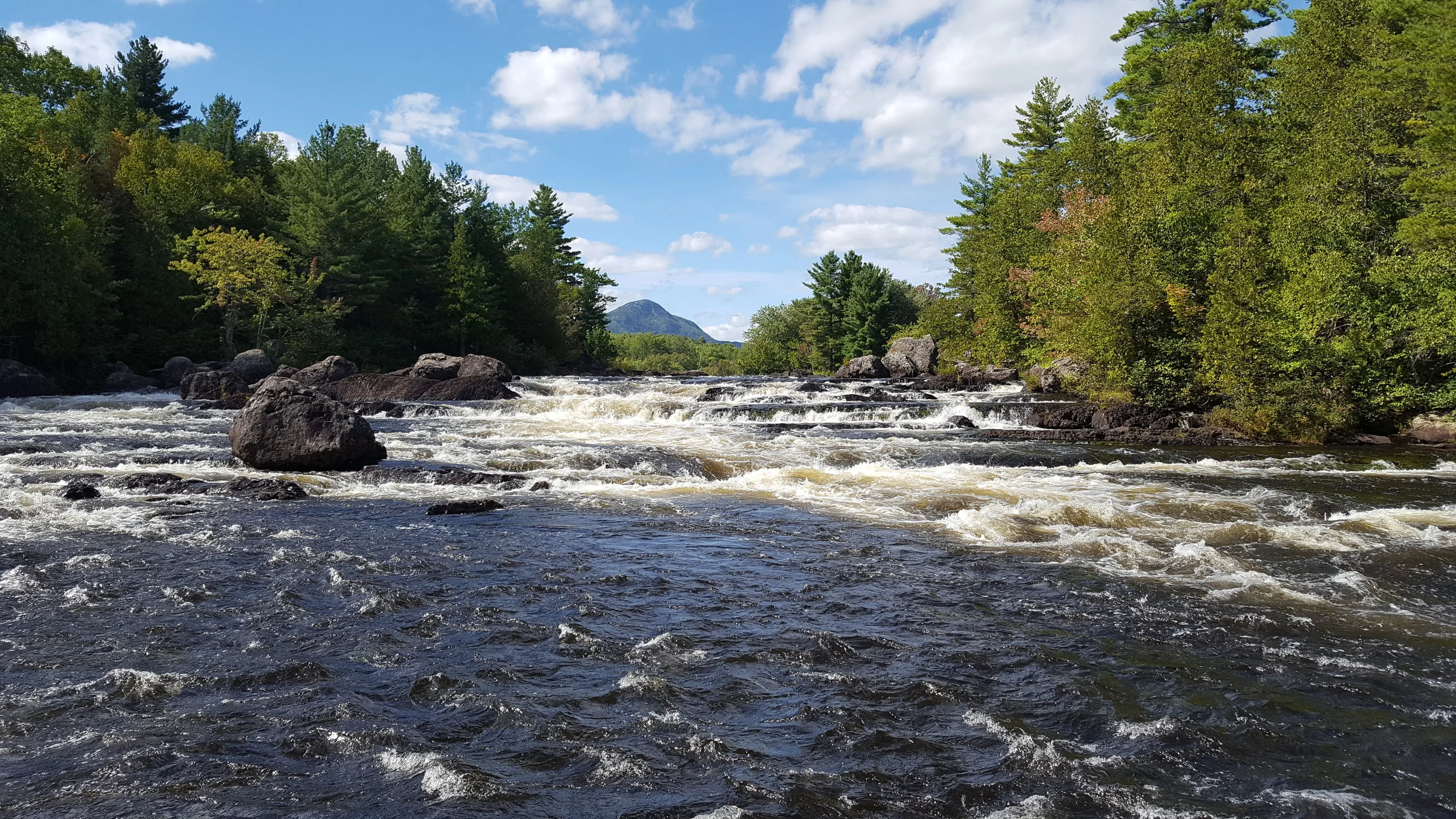 Events — Greg Westrich