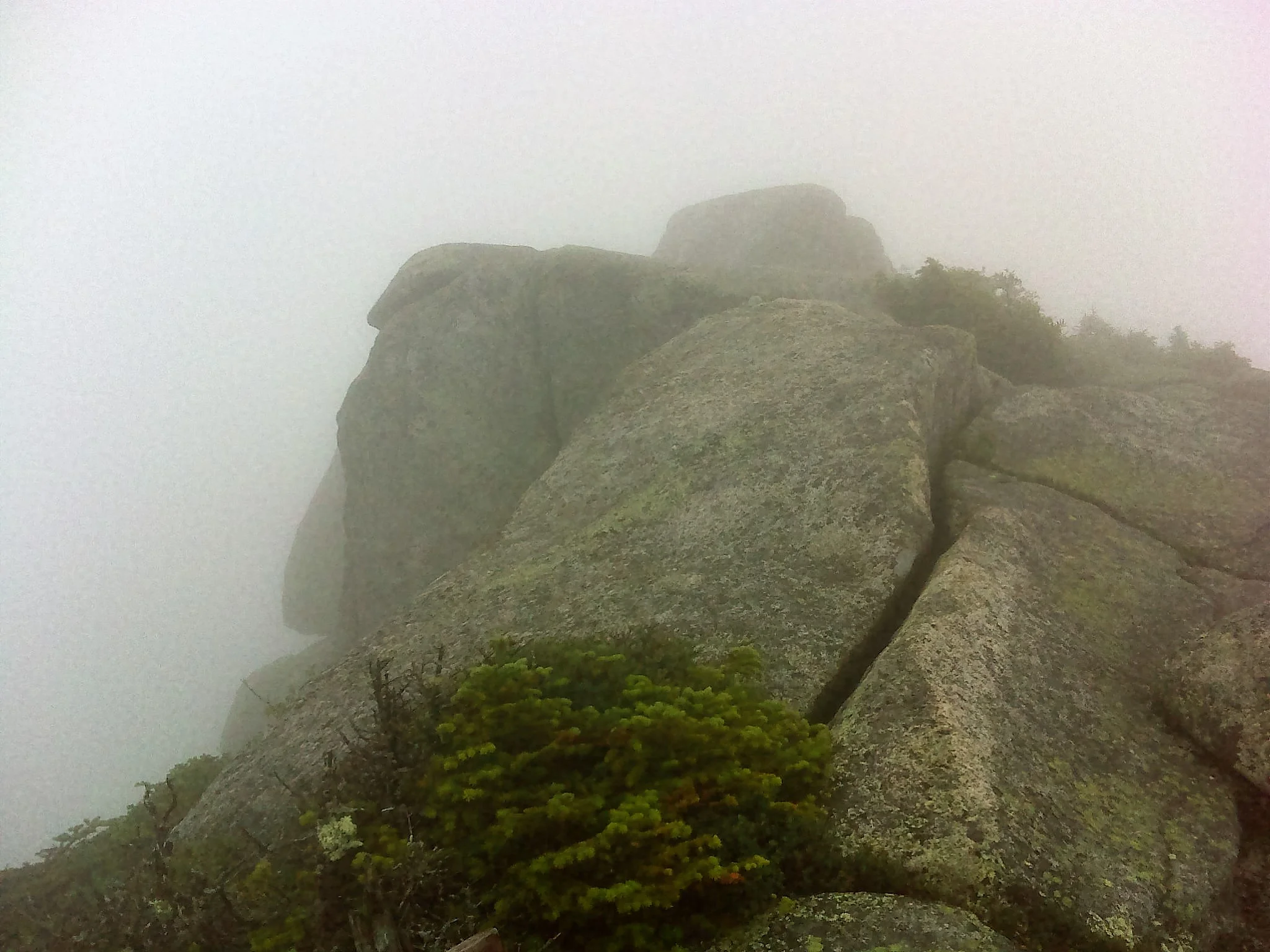Doubletop Mountain from Kidney Pond — Greg Westrich