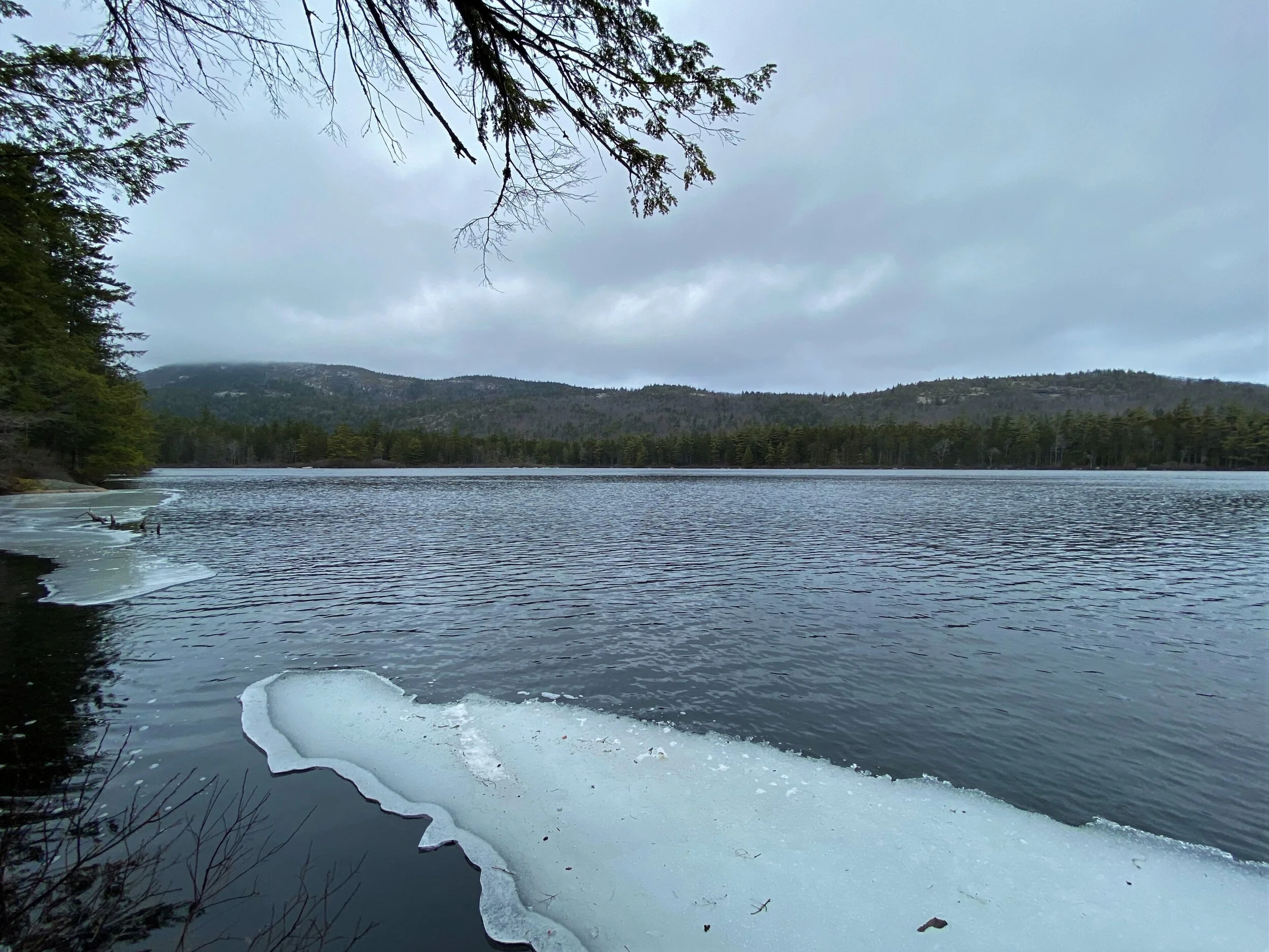 Exploring Tunk Mountain — Greg Westrich