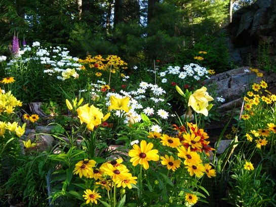 Cottage Rental - The Thousand Islands - Ivy Lea