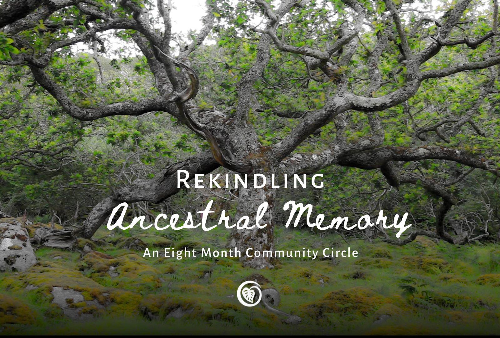 Rekindling Ancestral Memory — Organization of Nature Evolutionaries