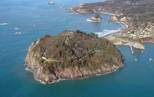 Spring Plant Walk: Trinidad Head Trailhead — Organization of Nature ...